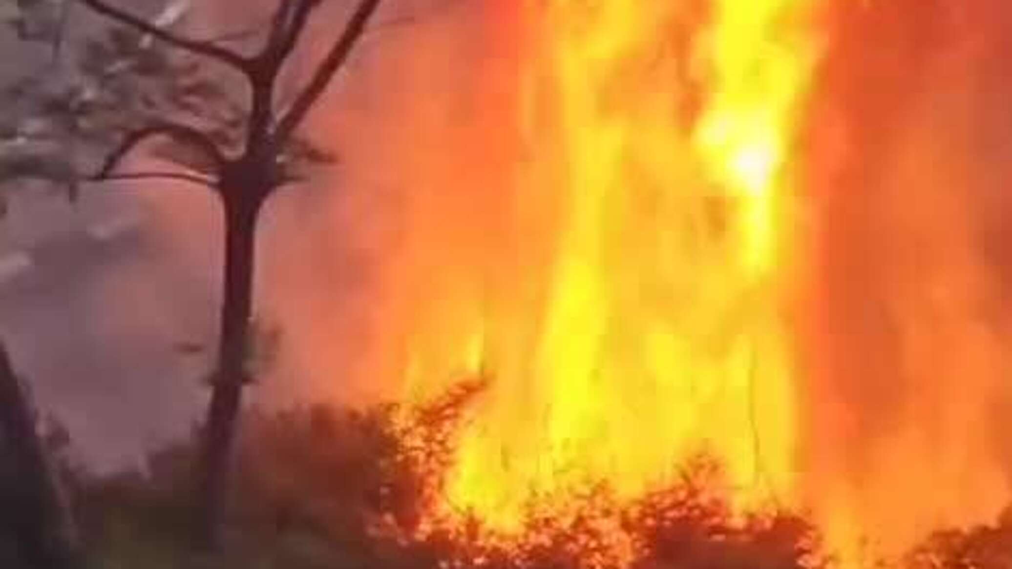 تصاویری از بزرگترین ترین آتش سوزی در تاریخ اسرائیل - 01.05.2025 ...